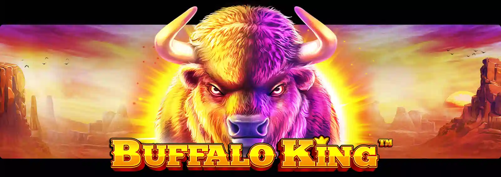 Buffalo King| Play Demo For Free | No Download | Swiss4win